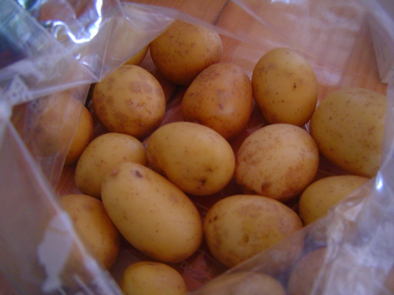 La bonnotte de Noirmoutier